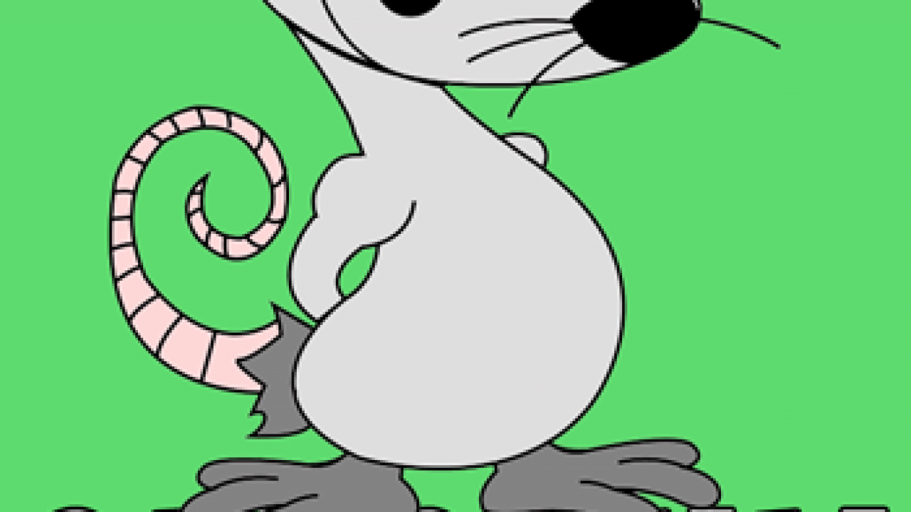 Opossum Cartoon