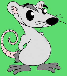 How to Draw Cartoon Opossum with Step by Step Drawing Tutorial – How to ...