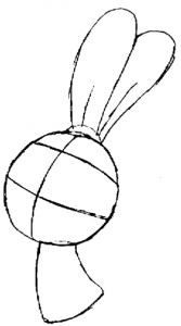 How to Draw Panini from Chowder with Simple Step by Step Drawing ...