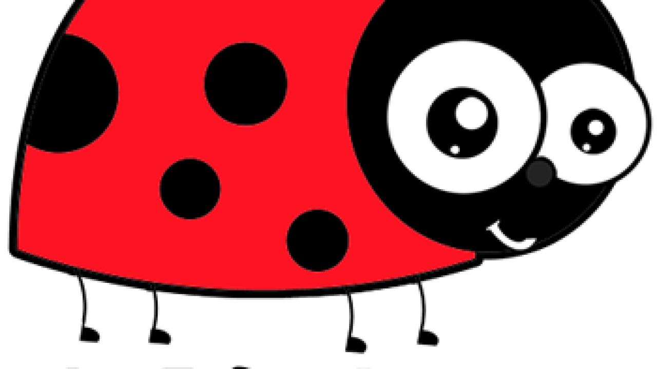 Simple Cartoon Ladybug