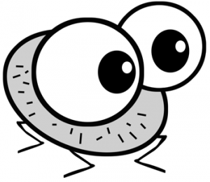 How to Draw Cartoon Flies with a Fly Drawing Tutorial – How to Draw ...