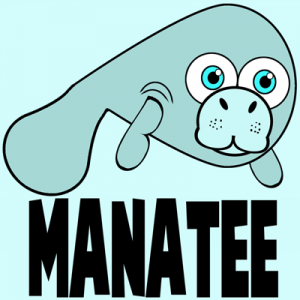 How to Draw Cartoon Manatees in Easy Step by Step Drawing Lesson – How ...