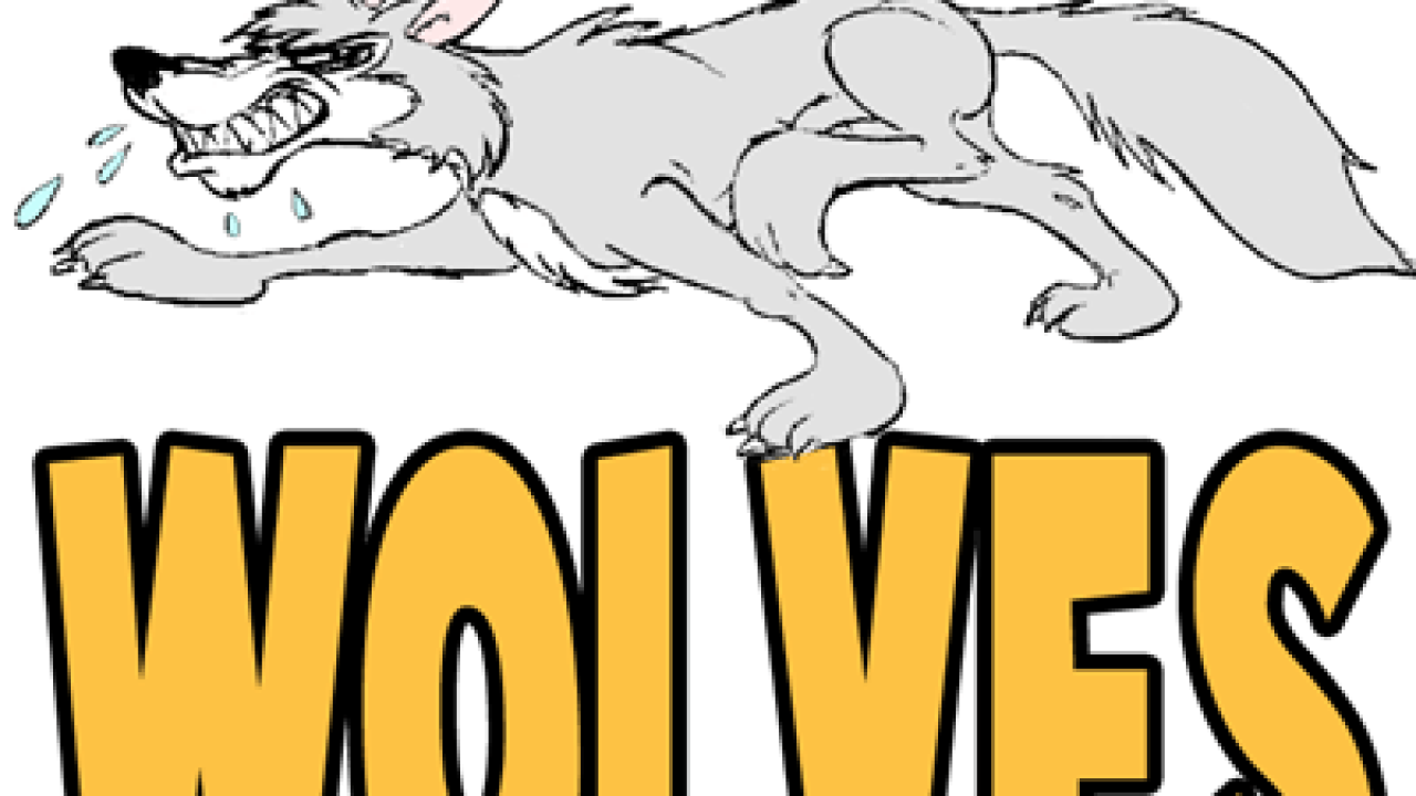 Vicious Wolf Drawing