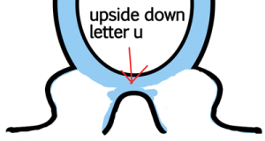 How to Draw Cartoon Dolphins with Easy Step by Step Drawing ...