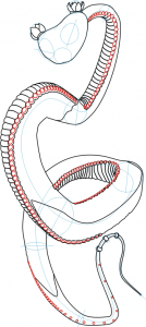 How to Draw Master Viper from Kung Fu Panda 1 and 2 with Easy Step by ...