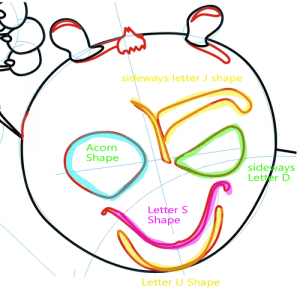 How to Draw Po from Kung Fu Panda 1 and 2 with Easy Steps Drawing ...