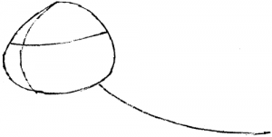 How to Draw Raikou from Pokemon with Easy Step by Step Drawing Tutorial ...