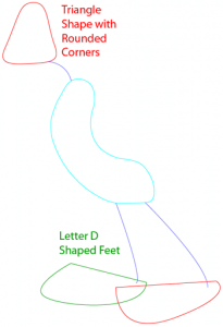 How to Draw Daffy Duck from Looney Tunes with Easy Step by Step Drawing ...