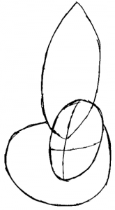 How to Draw Suicune from Pokemon with Easy Step by Step Drawing ...