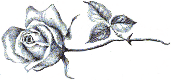 Rose Outline With Stem