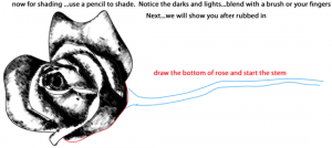 How to Draw Long Stem Roses with Easy Step by Step Drawing Tutorial ...