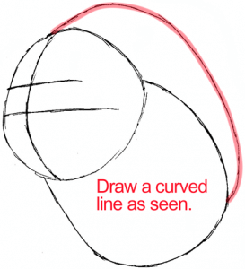 How to Draw Shaymin from Pokémon with Easy Step by Step Drawing ...