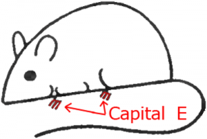 Big Guide to Drawing Cartoon Mice with Basic Shapes for Kids – How to ...