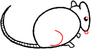 Big Guide to Drawing Cartoon Mice with Basic Shapes for Kids – How to ...