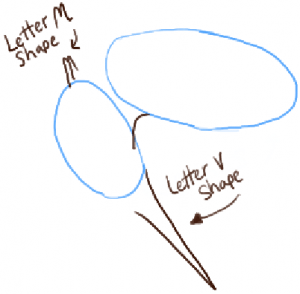 How to Draw the Hunger Games Logo aka The Mockingjay Pin – How to Draw ...