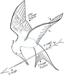 How to Draw the Hunger Games Logo aka The Mockingjay Pin – How to Draw ...