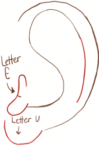 How to Draw Ears Side View with Easy Steps Lesson – How to Draw Step by ...