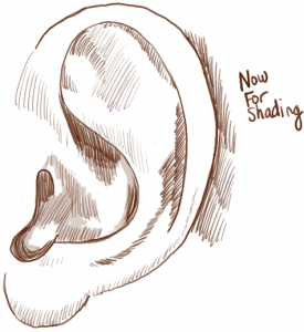 How to Draw Ears Side View with Easy Steps Lesson – How to Draw Step by ...