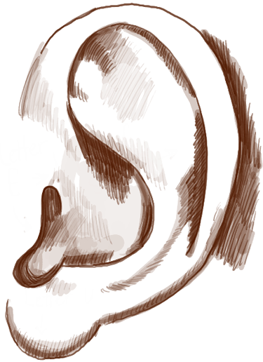 How To Draw Ears Side View