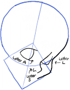 How to Draw Ariel from The Little Mermaid Step by Step Drawing Tutorial ...