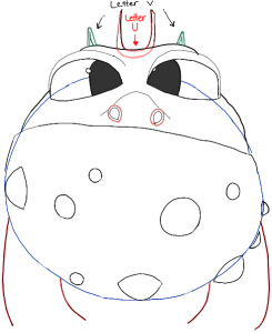 How to Draw Baby Gronckle from How to Train Your Dragon 2 in Easy Steps ...