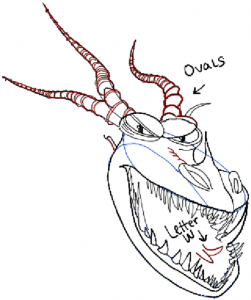 How to Draw Hookfang from How to Train Your Dragon 2 Easy Steps ...