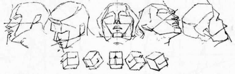 How to Draw the Head in Perspective : Drawing Human Head in Perspective ...