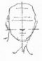 How to Draw Human Head in the Right Measurements and Proportions – How ...