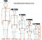 Learn How to Draw Human Figures in Correct Proportions by Memorizing Stick Figures – How to Draw ...