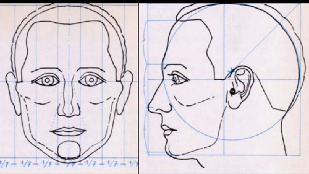 Human Face Drawing Proportions