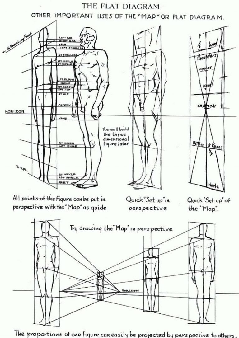Proportions of the Human Figure : How to Draw the Human Figure in the ...