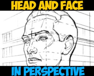 How to Draw the Face and Head in Perspective to Keep Correct ...