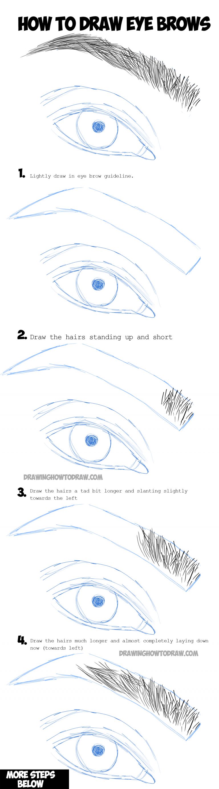How to Draw Eye Brows Step by Step Drawing Tutorial – How to Draw Step ...