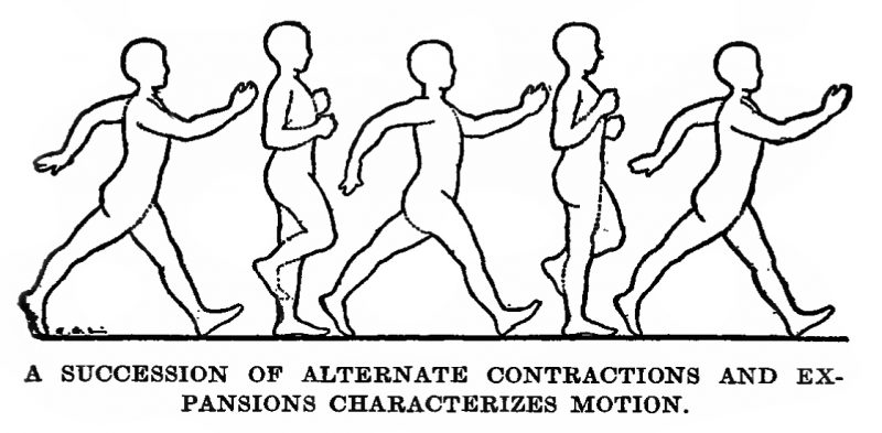 How to Draw and Animate a Person Walking or Running – Huge Guide and ...