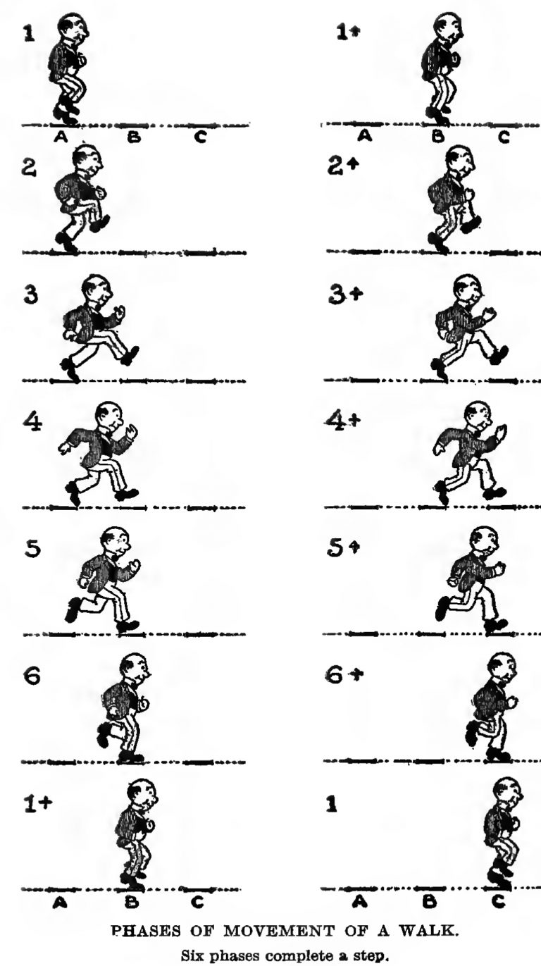 How to Draw and Animate a Person Walking or Running – Huge Guide and ...