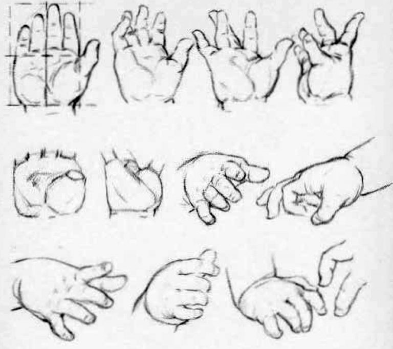 How to Draw Hands – Reference Sheets and Guides to Drawing Hands – How ...
