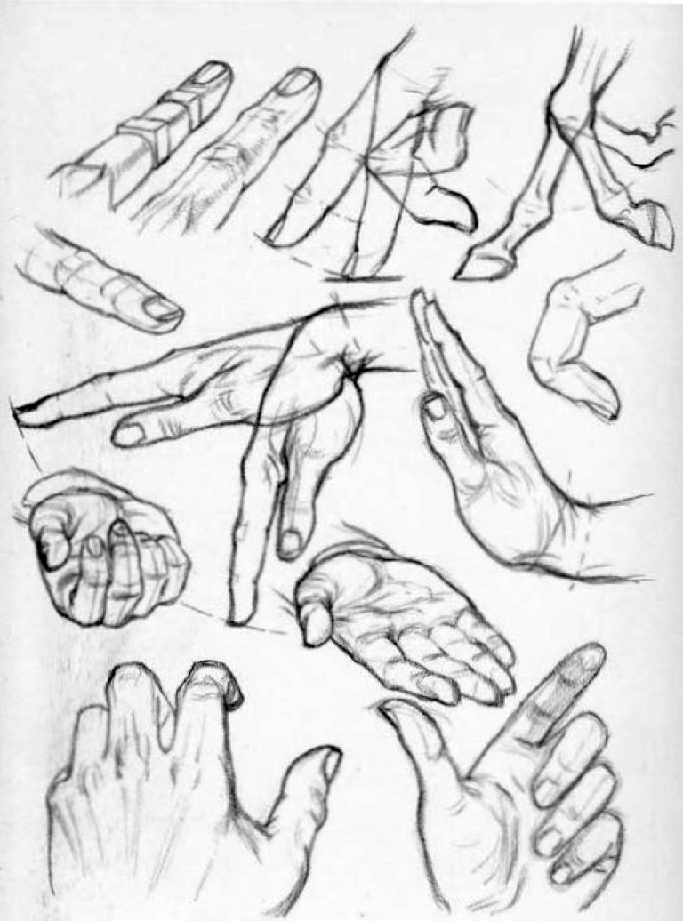 How to Draw Hands – Reference Sheets and Guides to Drawing Hands – How ...