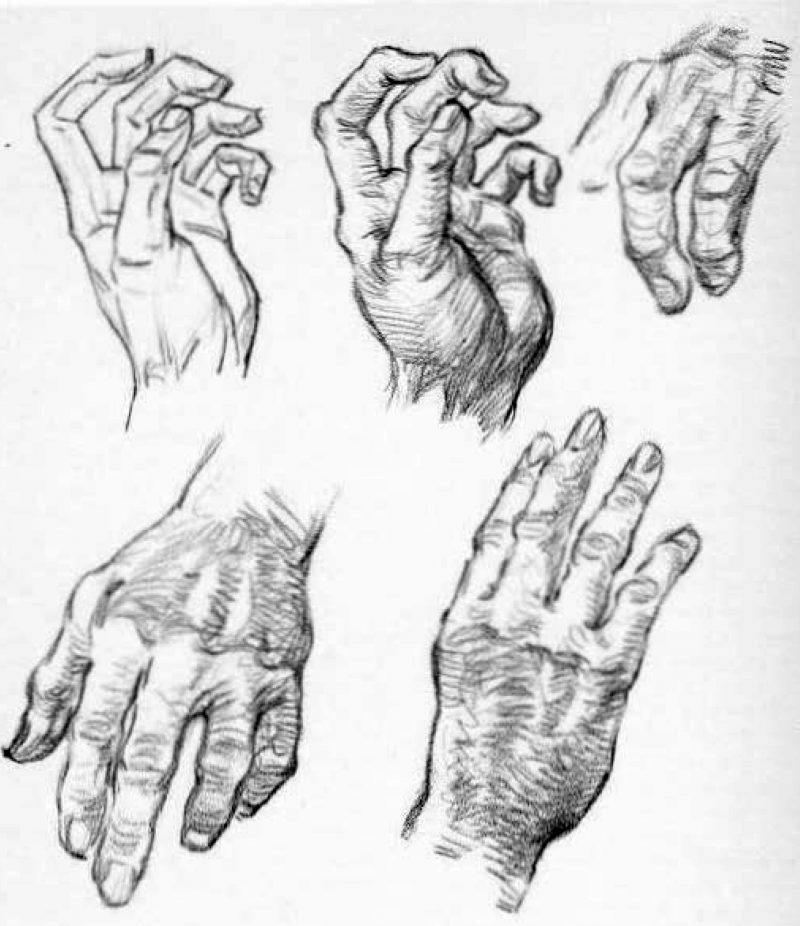 How to Draw Hands – Reference Sheets and Guides to Drawing Hands – How ...