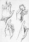 How to Draw Hands – Reference Sheets and Guides to Drawing Hands – How ...