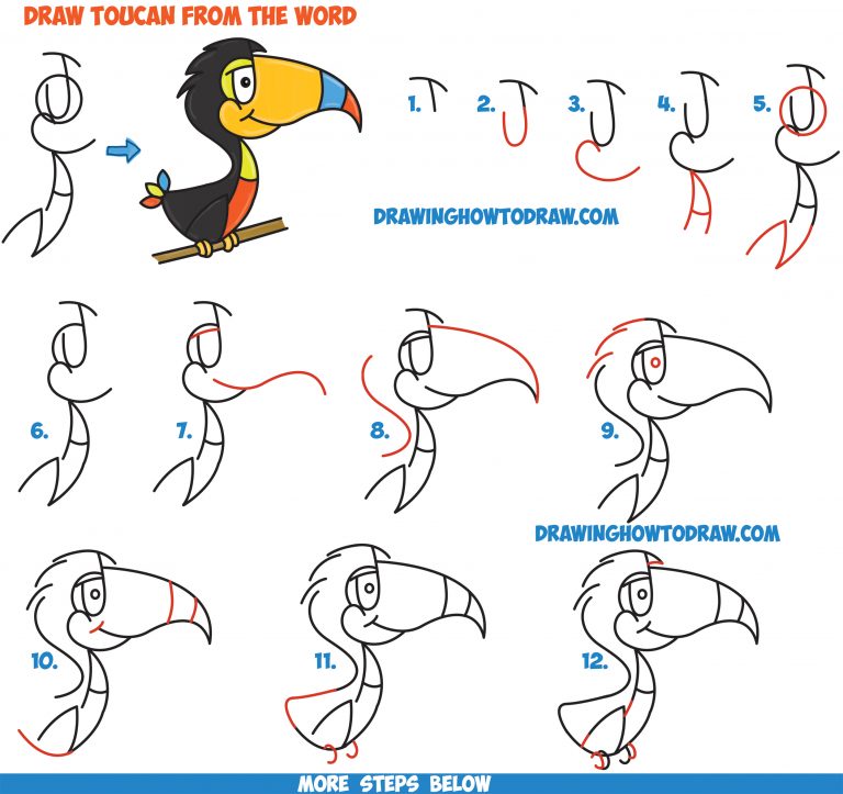 How to Draw Cartoon Toucans from the Word – Easy Step by Step Drawing ...