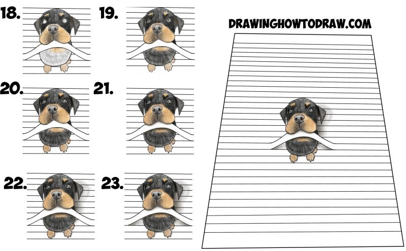 How to Draw a Cool 3D Rottweiler Puppy Dog Biting a Line from Lined ...