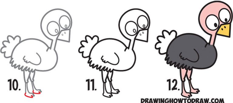How to Draw a Cute Cartoon Ostrich Easy Step by Step Drawing Tutorial for Kids & Beginners – How ...