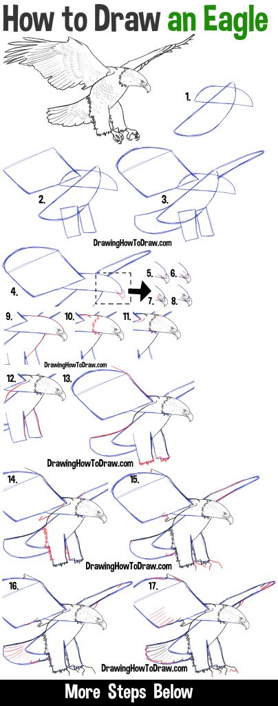 How to Draw an American Eagle Step by Step Drawing Tutorial – How to ...