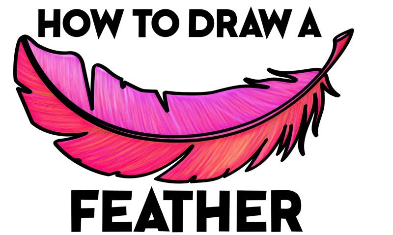 Simple Curved Feather Drawing