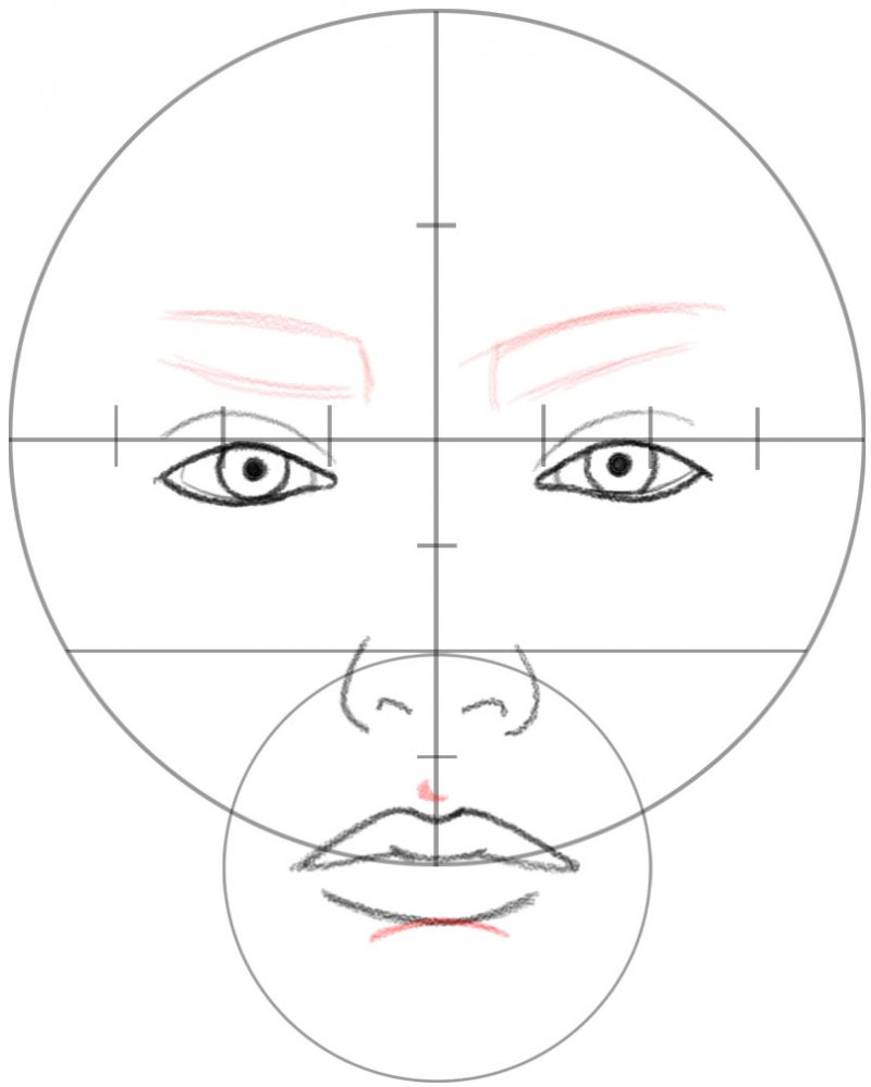 How to Draw a Face in Basic Proportions – Drawing Beautiful Female Face ...