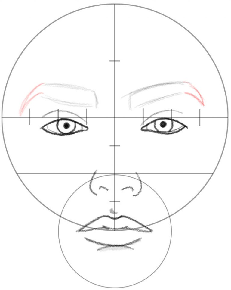 How to Draw a Face in Basic Proportions – Drawing Beautiful Female Face ...