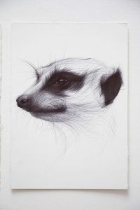 50+ Black and White Pen and Ink Drawings and Illustrations ...