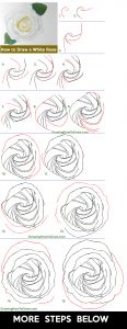 How to Draw a White Rose from Above for Valentine’s Day – Using Pencils ...
