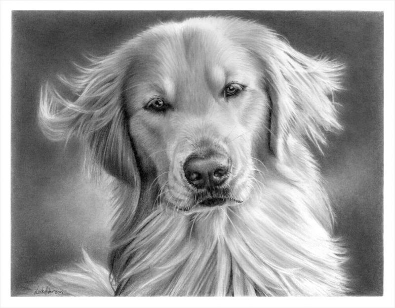 50+ Inspirational Pencil Drawings and Illustrations Inspirational ...