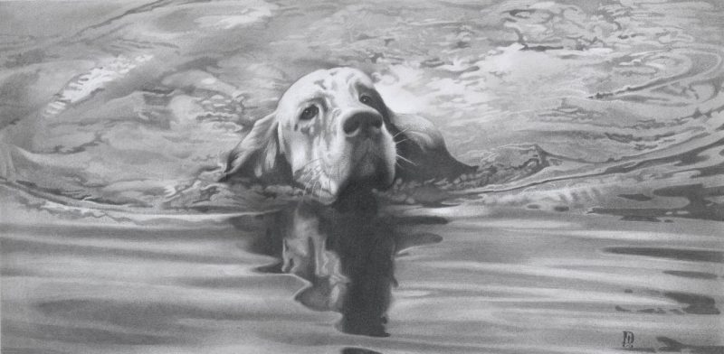 50+ Inspirational Pencil Drawings and Illustrations Inspirational ...